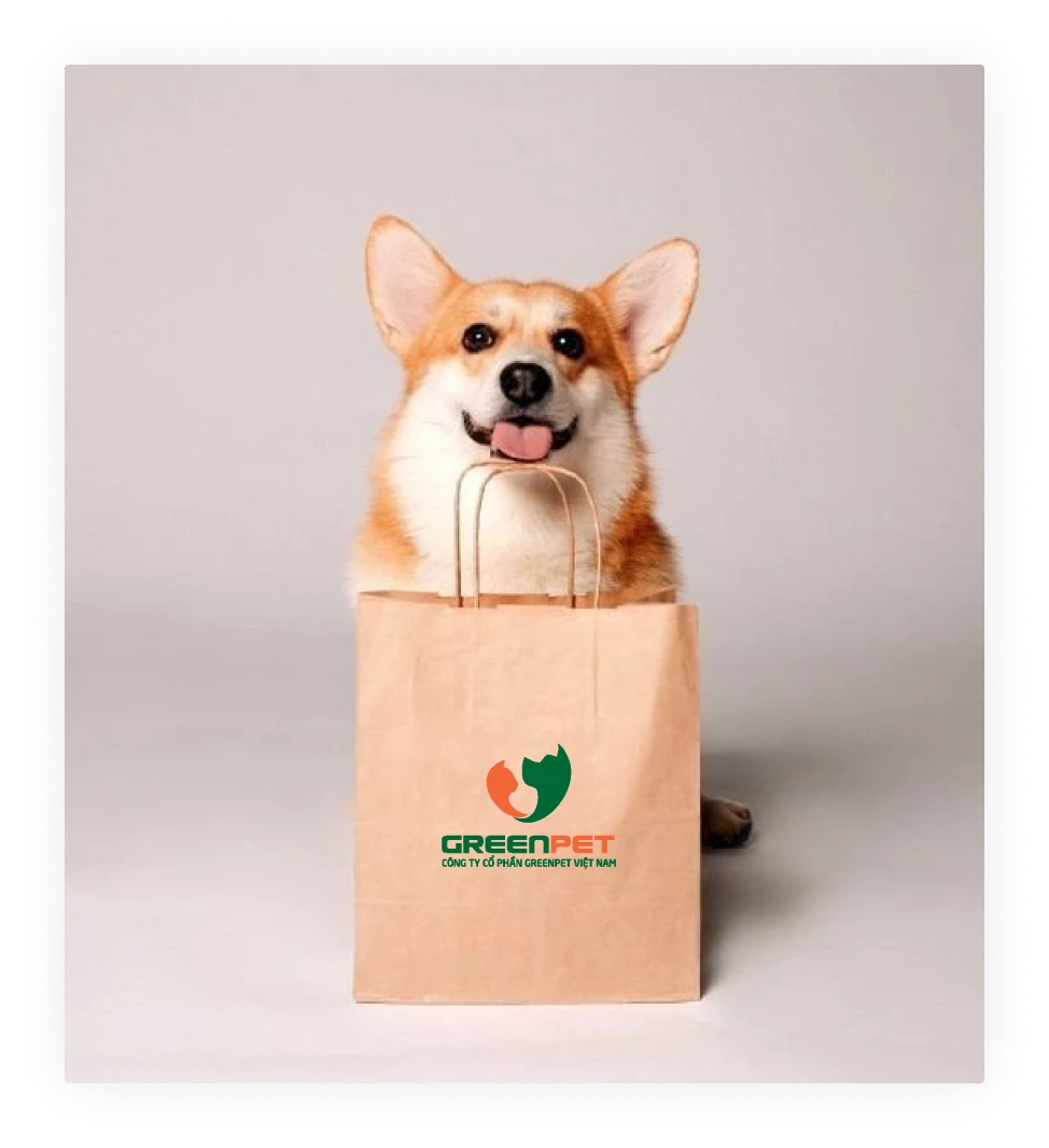 Giới thiệu chung | GreenPet